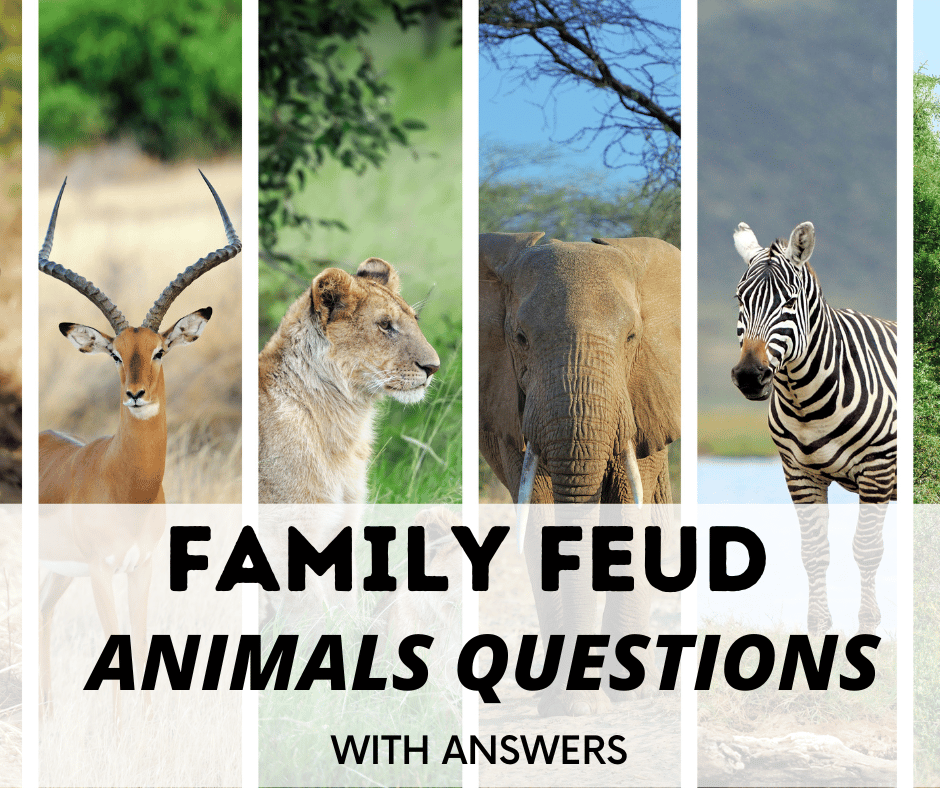 List of Family Feud Game Questions - answers and points for Games 1 to 15